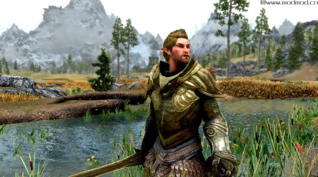上古卷轴5：重置版MOD Faendal Fin Fahliil Kendov（精灵战士）_模组菜鸟网